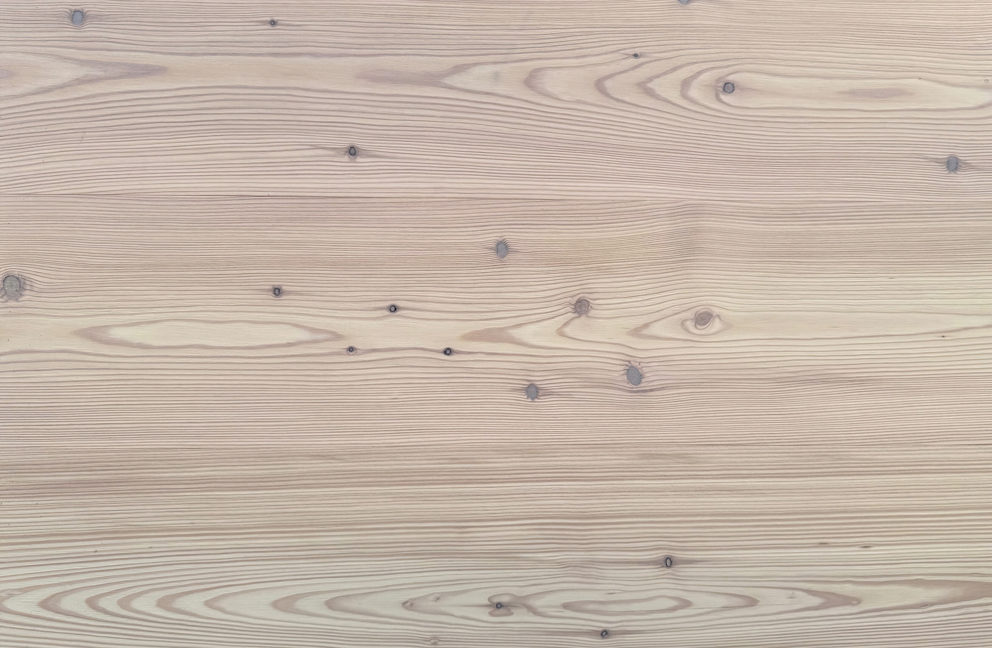 Larch Alaska - Collection