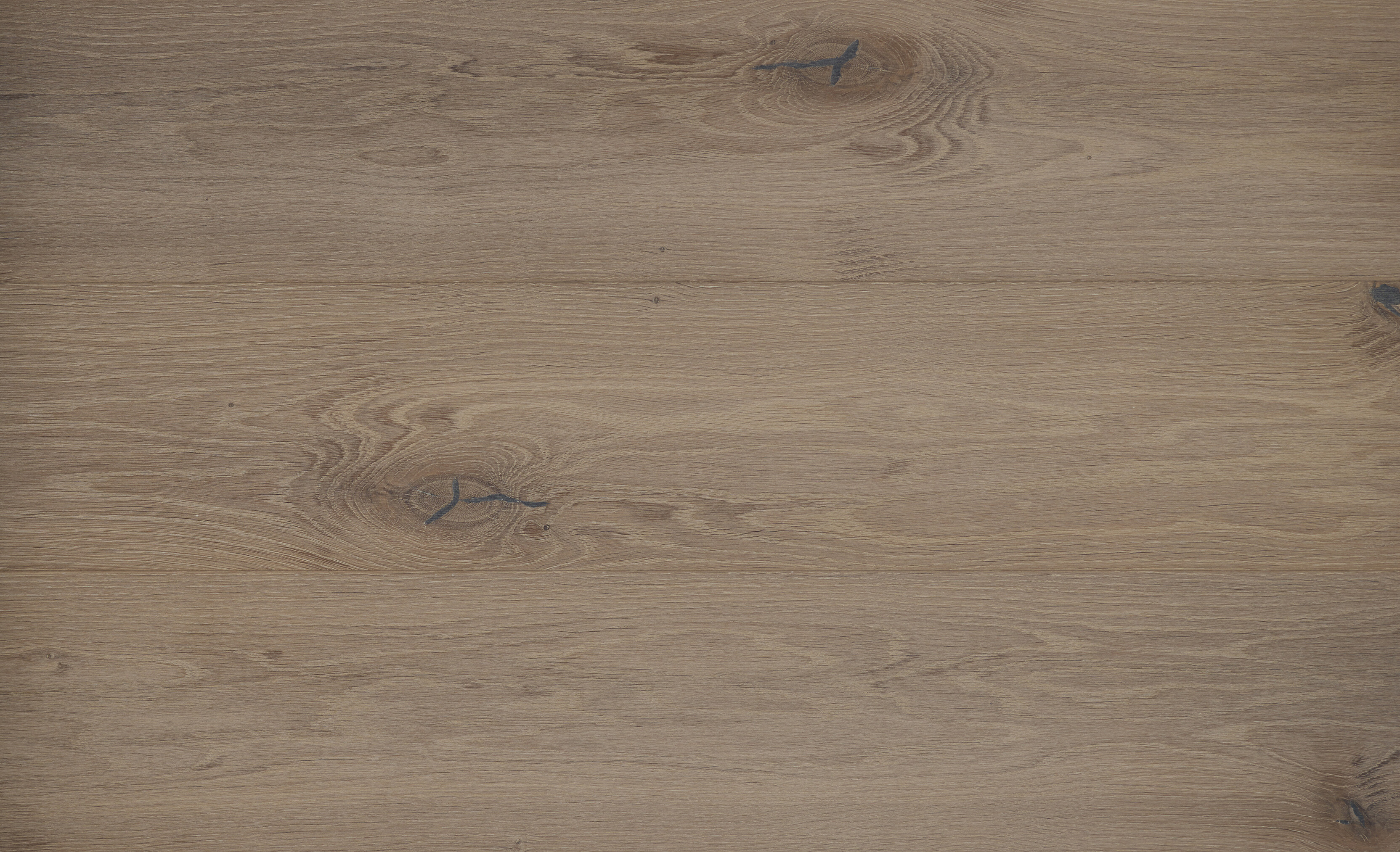 Oak Shingle - Collection